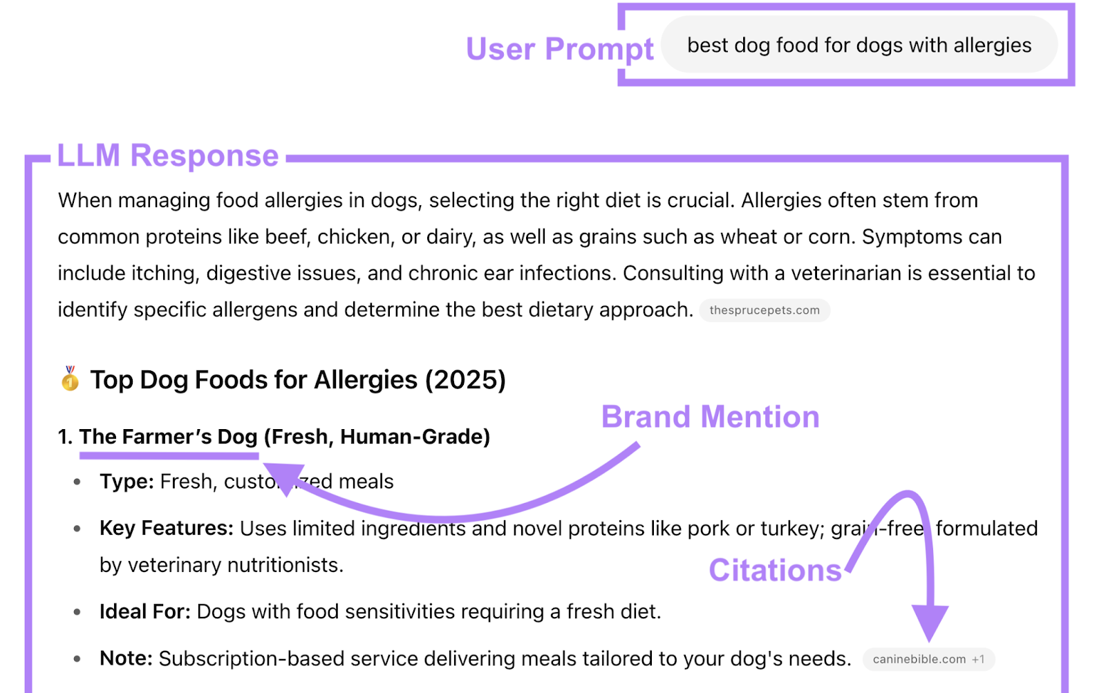 LLM Optimization (LLMO): Get AI to Talk About Your Brand